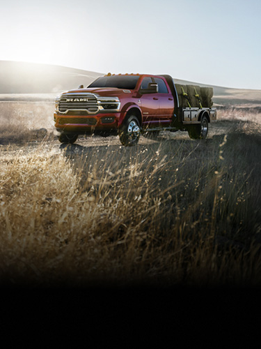 Vehicles for Business | Stellantis Pro One - Business Solutions